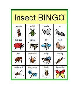 Bug Bingo Free Printable PRINTABLE TEMPLATES