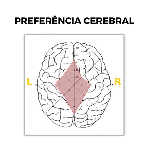 Imersão MAPA de Perfil Comportamental Trilha Do Ser