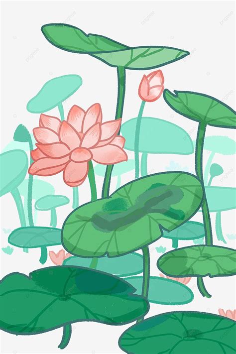 Hoja De Loto PNG Loto Hoja De Loto PNG Planta PNG Y PSD Para