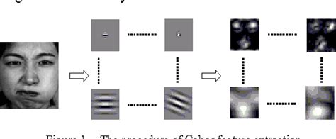 figure 1 from a deep structure for facial expression recognition under partial occlusion