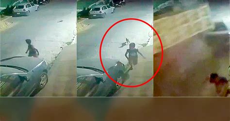 Niño Se Salva De Ser Atropellado Por Camión Pero Su Perrito No El