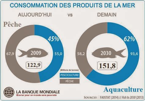Aquaculture Enfin de bonnes nouvelles de la Banque Mondiale sur la pêche