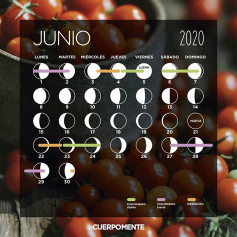 Haircut Moon Calendar May 2024 July 2024 Calendar