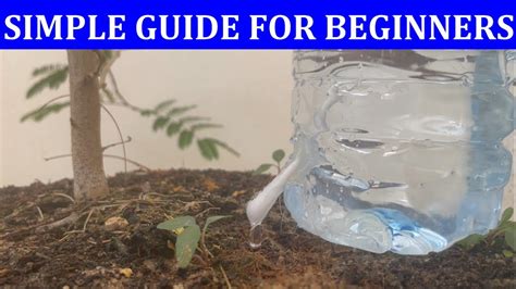 DIY Drip Irrigation Transforming A Water Bottle And Q Tip Into A Smart
