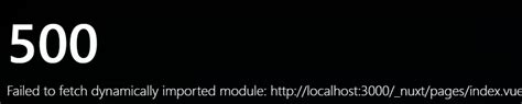 vuejs3 how to prevent client data fetching with nuxt 3 stack overflow