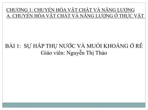 PPT Sinh học lớp 11 Bài 1 Sự hấp thụ nước và muối khoáng ở rễ
