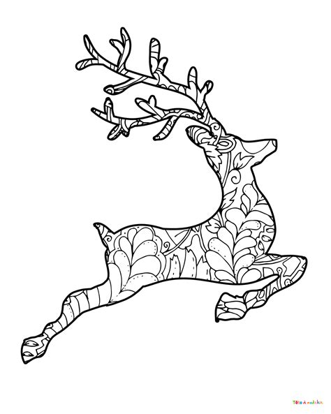 Coloriage D Un Cerf Un Dessin De T Te Modeler