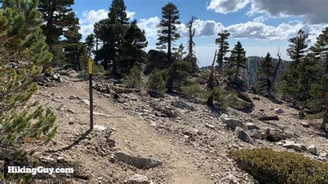 Mt Baldy Hike HikingGuy
