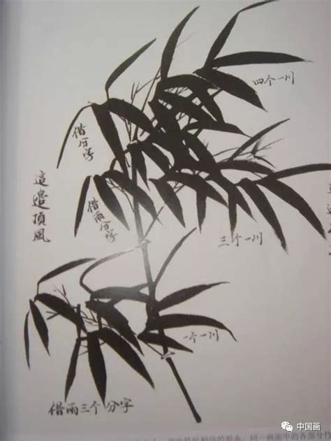 怎样画竹子 竹子水墨画 怎样画梅花的 大山谷图库