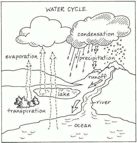 Blank Water Cycle Diagram