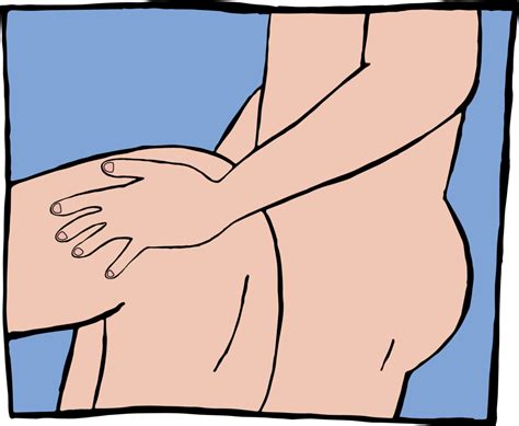 El Coito Nvsh Todo Sobre El Sexo