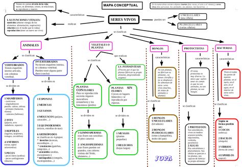 Seres Vivos Mapa Mental Amostra Images And Photos Finder Porn Sex