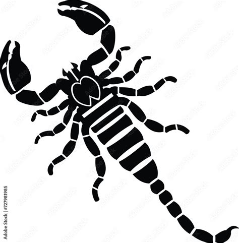 Vetor De Scorpion Scorpion SVG Scorpion SVG File SVG Files Cricut