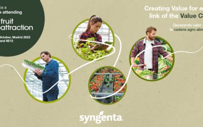 Syngenta Innovación al servicio del agricultor Tecnologia Hortícola