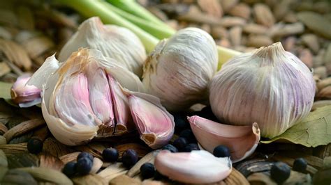 Cómo y cuándo sembrar ajos en el huerto Agralia Jardín