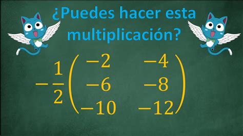 Multiplicaci N De Un Escalar Por Una Matriz Ejemplo Resuelto Youtube