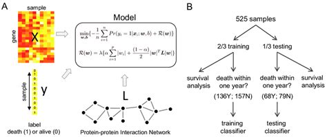 a a novel network regularized sparse logistic regression framework by download scientific