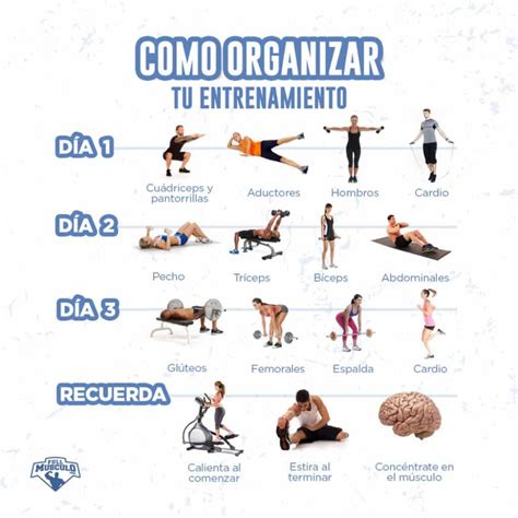 Cómo Organizar mi Rutina de Entrenamiento FullMusculo Planet
