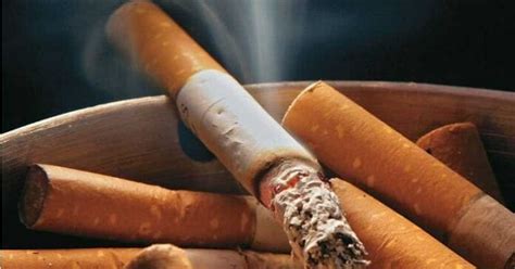 Consumo De Cigarrillo Consecuencias De Fumar Tabaco