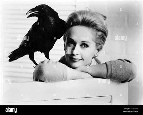TIPPI HEDREN THE BIRDS 1963 Stock Photo Alamy