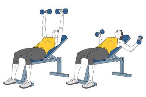 5 días en el gimnasio Dia 1 Entrenamientos y ejercicios
