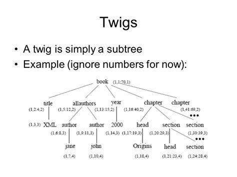 holistic twig joins optimal xml pattern matching written by nicolas bruno nick koudas divesh