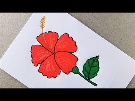 Hibiscus Flower Drawing Step By Step