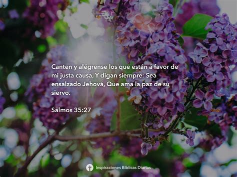 Salmos Inspiraciones B Blicas Diarias