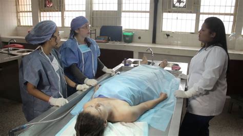 11 Ingeniero Forense ChaimaAuriah