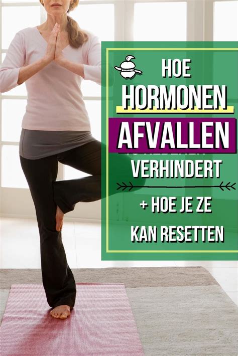 Hormonen In Balans Artofit