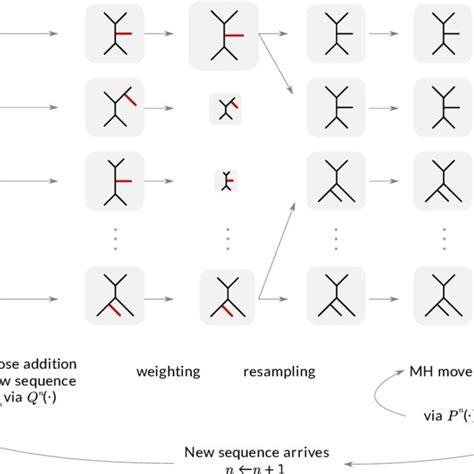 an overview of the online phylogenetic sequential monte carlo algorithm download scientific