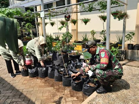 Koramil 02 Matraman Giat Urban Farming Dukung Ketahanan Pangan Beberin