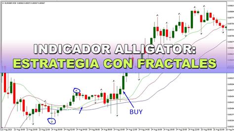 Indicador Alligator Estrategias Y Consejos YouTube