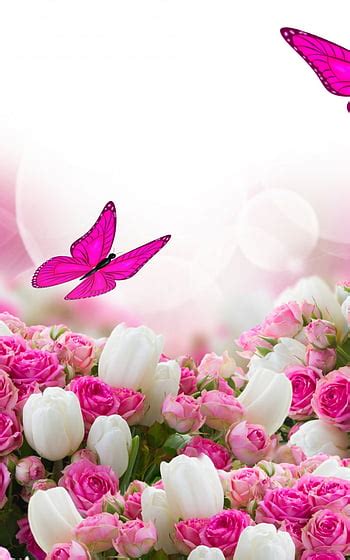 T Ng H P Hot Pink Cute Background Ch T L Ng Cao T I Mi N Ph