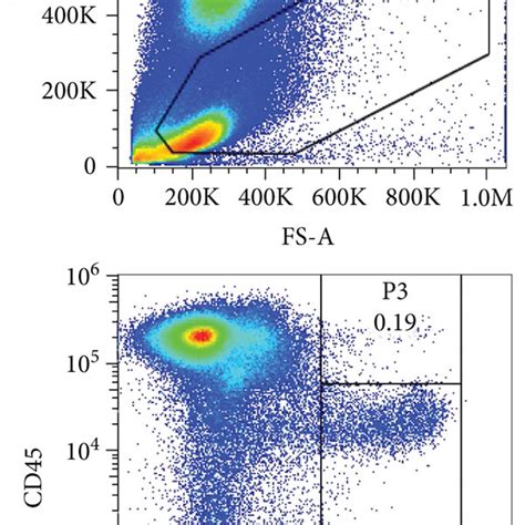 Representative Cell Surface Antigen Expression Profile Of Isolated BMCs