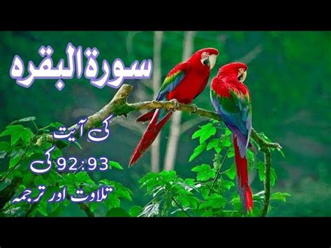 Tilawat E Quran With Urdu Translation Kanzul Iman Surah Baqarah Ki