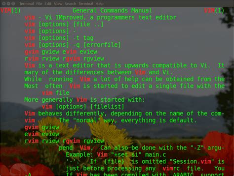 linux grep examples 15 practical grep command examples in linux mamie burks
