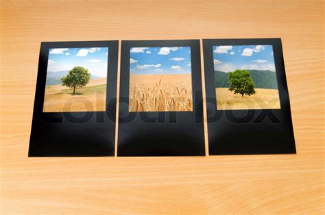 Billedrammer Med Naturen Fotos Stock Foto Colourbox