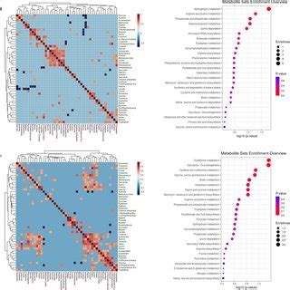Left Heatmap And Hierarchical Cluster Analysis Indicating