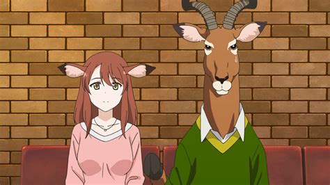 ストーリー TVアニメ群れなせシートン学園公式サイト