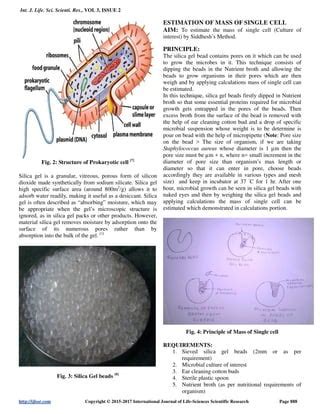 Estimation Of Mass Of Single Cell PDF