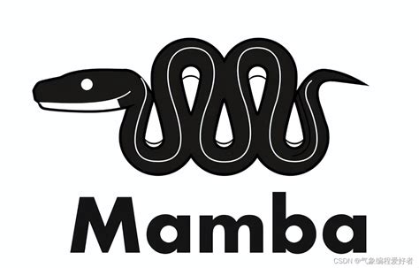 python编程实践：mamba加速神器，体验飞一般的感觉 python mamba csdn博客
