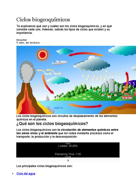 Ciclos biogeoquímicos Ciclos biogeoquímicos Te explicamos qué son y