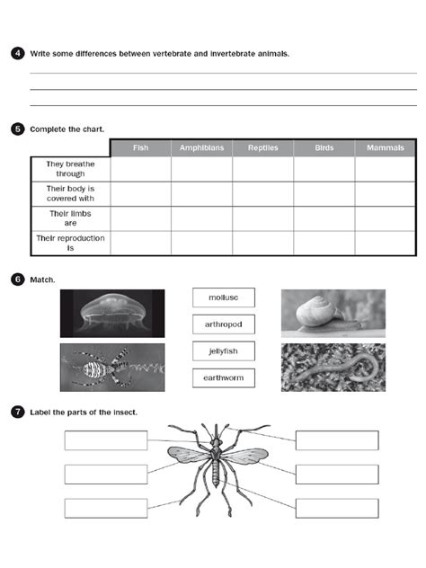 Living And Non Living Things Classification Worksheet Worksheets Library