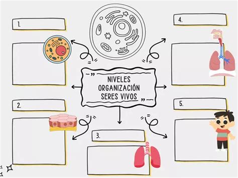 Niveles de organización de los seres vivos profe social