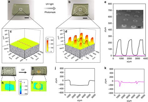 application demonstration of light induced growth a e microstructure download scientific
