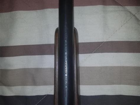 Help Identify Rimfire Central Firearm Forum