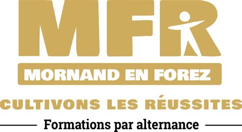 Brevet Professionnel De La Jeunesse De L Ducation Populaire Et Du