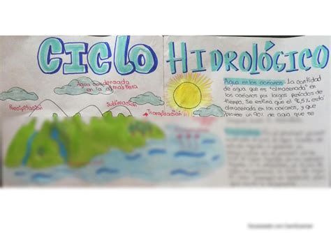 SOLUTION Ciclos Biogeoquímicos Studypool