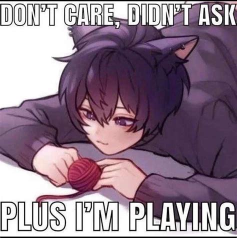 Catboy Rule R 197